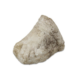 Roman foot of an infant for sale | Roman Antiquities for sale