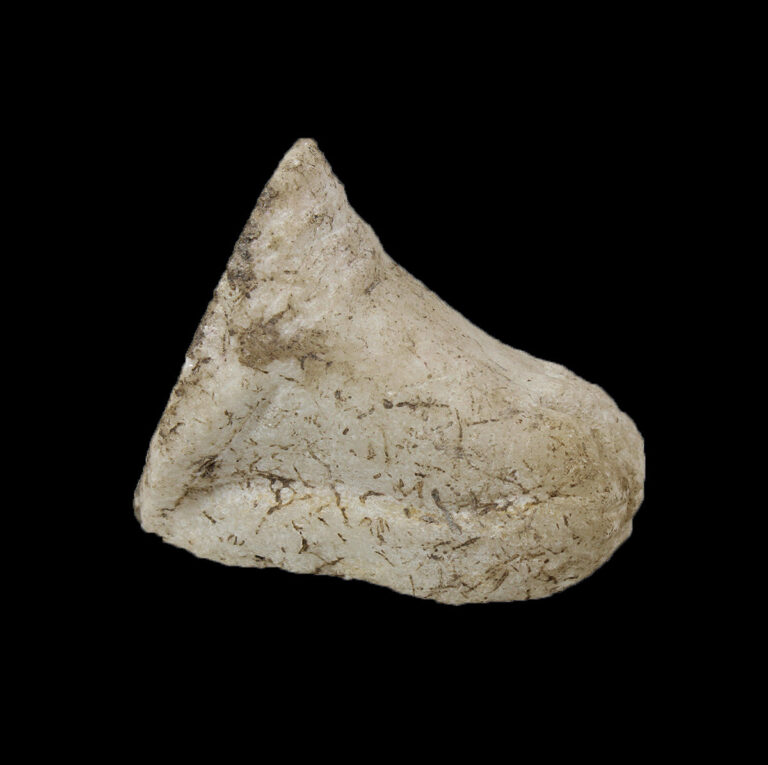 Roman foot of an infant for sale | Roman Antiquities for sale