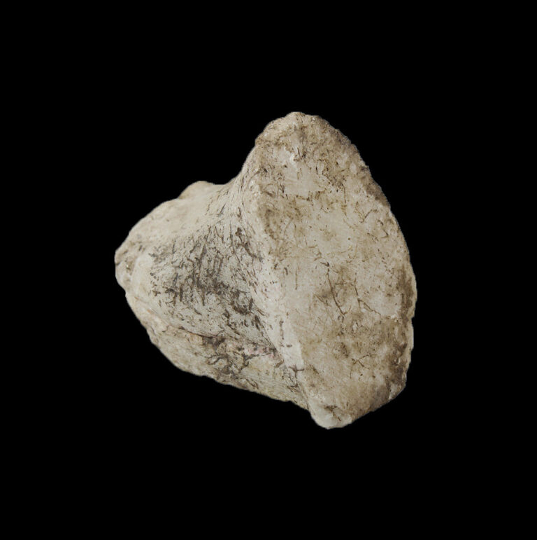 Roman foot of an infant for sale | Roman Antiquities for sale