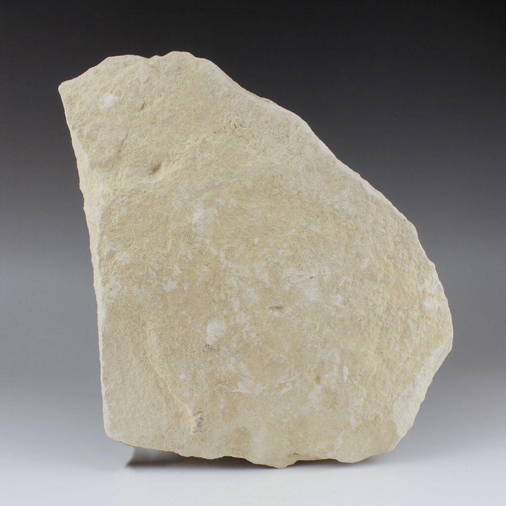 Egyptian part of a tomb door lintel with the Hetep Di Nesou formula for ...