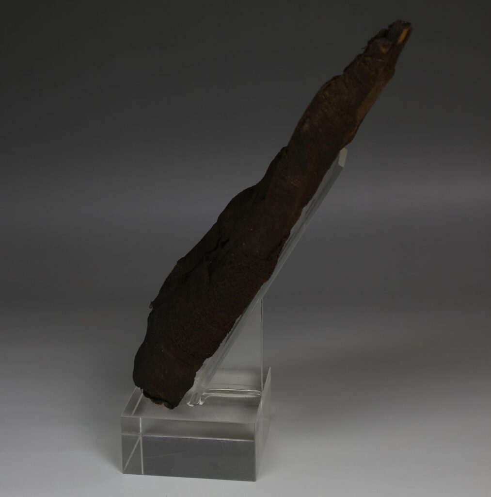 Egyptian mummified hand with X-Ray for sale | Egyptian Antiquities for sale